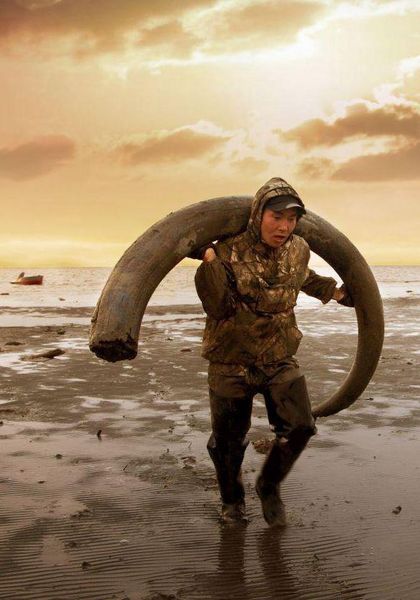 Genesis 2.0 - repertuar kin Kraków